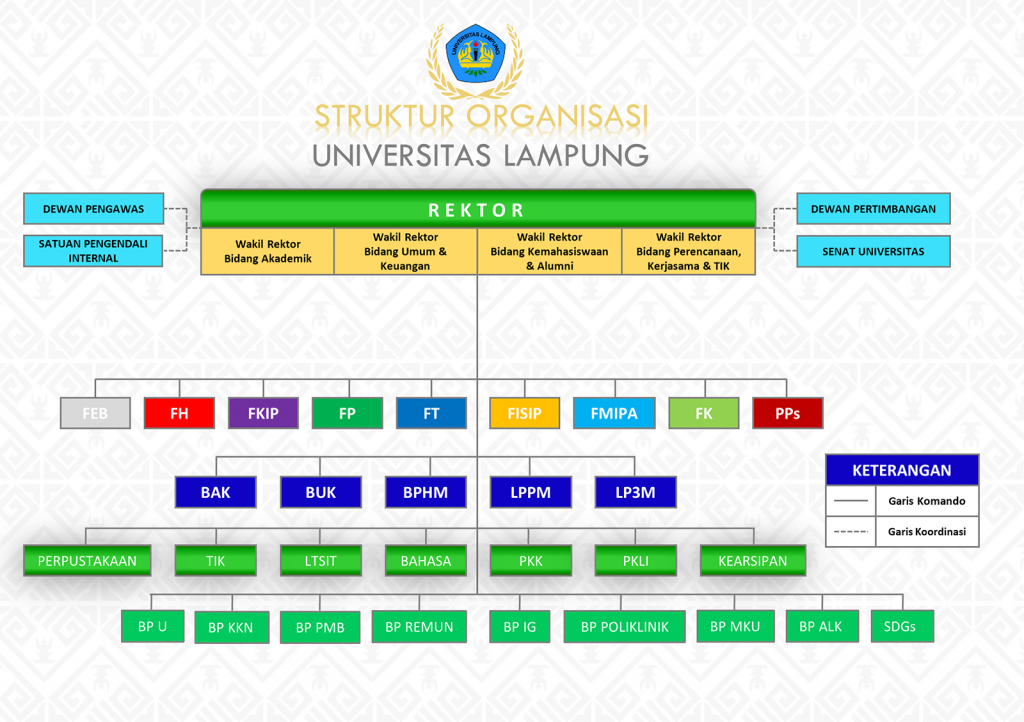 Organizational Structure | University of Lampung