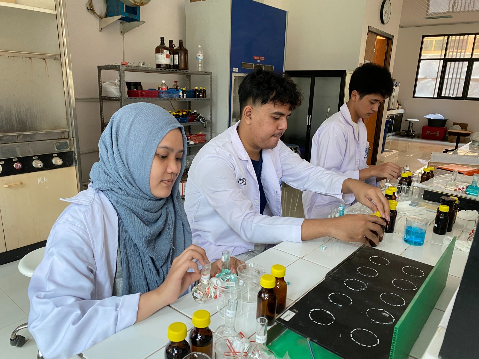 PIM Polyeugenol to Reduce Dyestuff Waste – University of Lampung